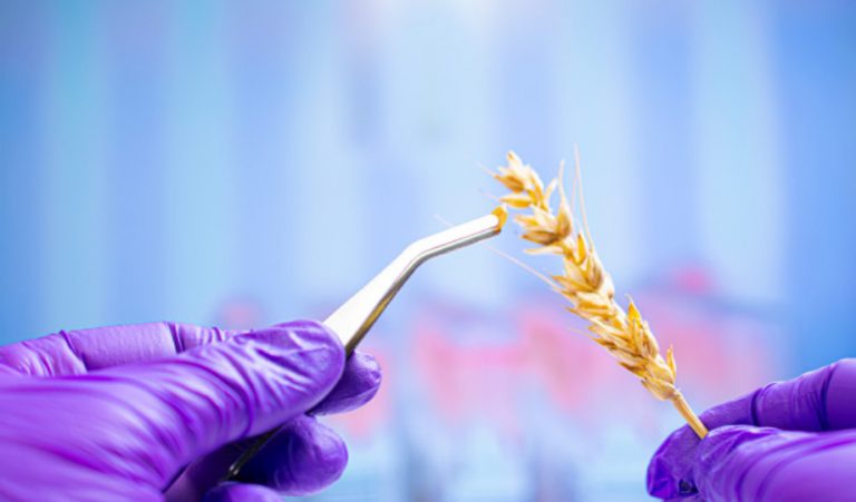 Prima Ceylon (Private) Limited - Prima