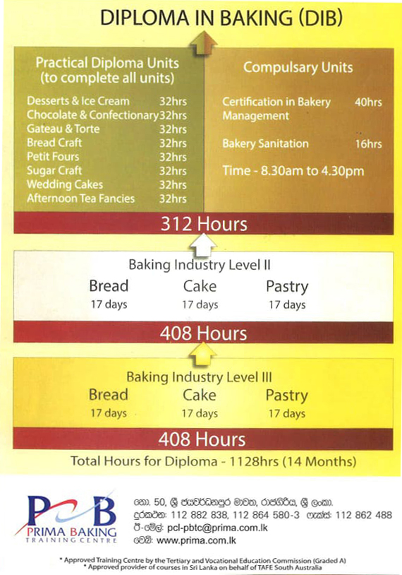 Diploma Courses - Prima