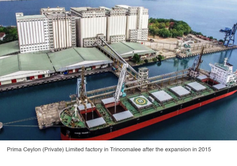 Our History & Milestones