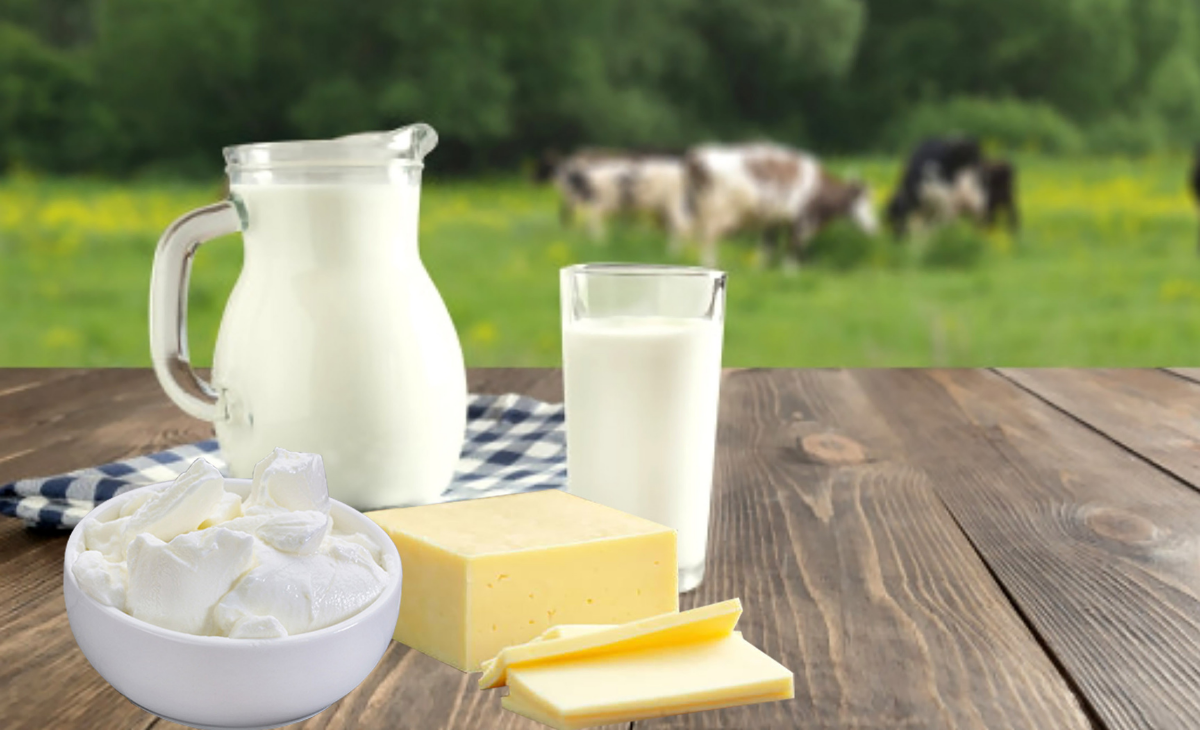 Ceylon Agro Industries Limited - Prima